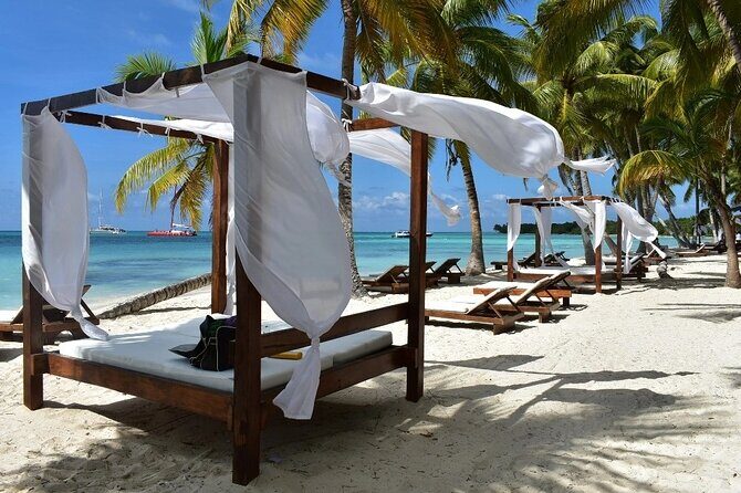 Saona Island Adventure From Santo Domingo - The Value of This Tour