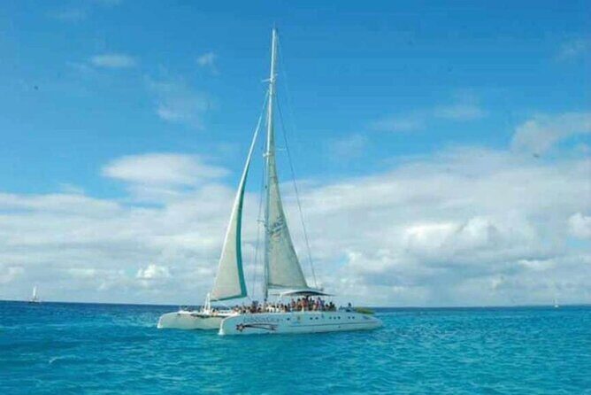 Saona Island Adventure: Natural Pool & All-Inclusive Drinks - The Sum Up