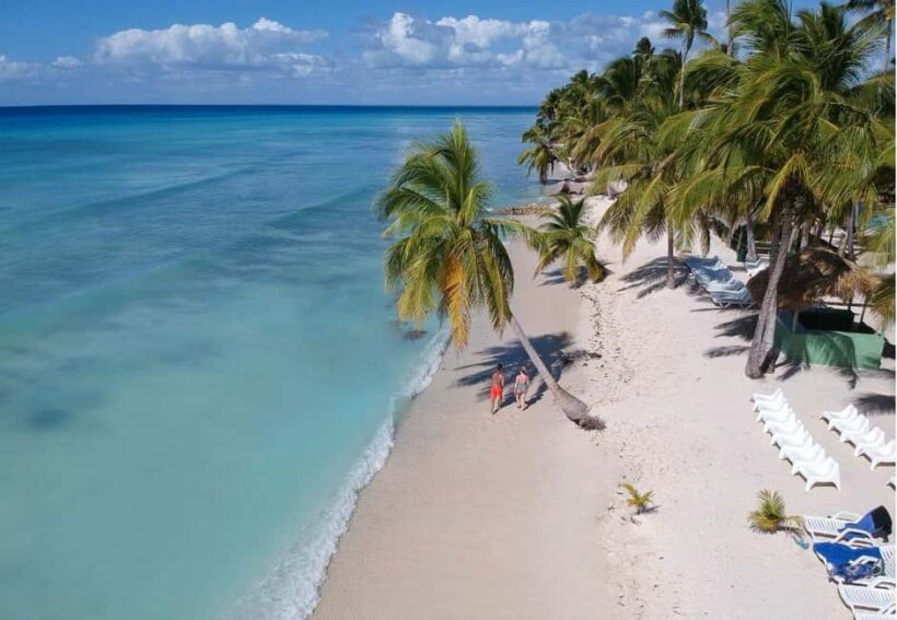 Saona Island all day with lunch and open bar departing from Punta Cana - Key Points