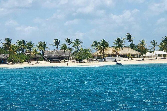 Saona Island All Inclusive Punta Cana - Who Should Consider This Tour?