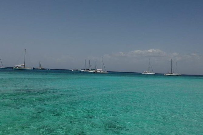 Saona Island All Inclusive Punta Cana - The Sum Up: Is This Tour Worth It?