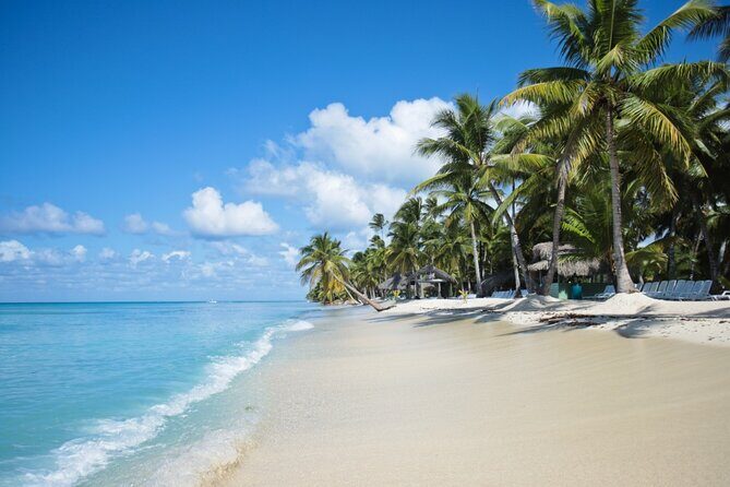 Saona Island Catamaran Cruise Experience (All Inclusive) - FAQs