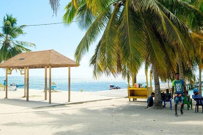 Saona Island Catamaran For Small Group Hotel Pick Food Drink - Who Should Consider This Tour?