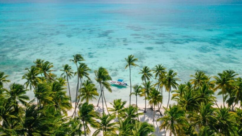 Saona Island: Catamaran/Speedboat Tour to a Dream Beach - Analyzing the Experience: A Complete Breakdown