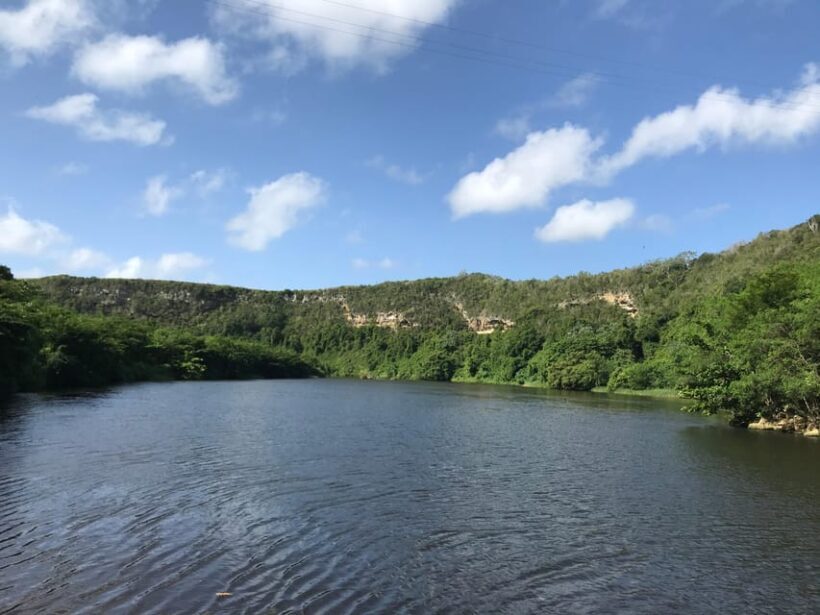 Saona Island & Chavon River Tour with Lunch & Drinks - Who Will Enjoy This Tour?