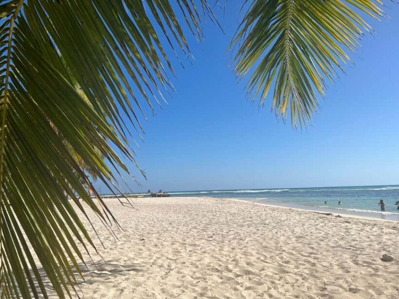 Saona Island & Chavon River Tour with Lunch & Drinks - FAQ