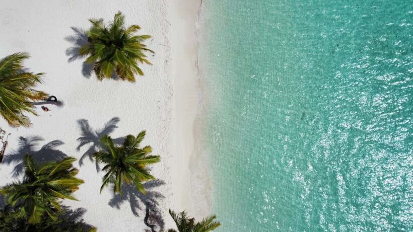 Saona Island Day for Marella Discovery (La Romana Port) - What Makes This Tour Special?