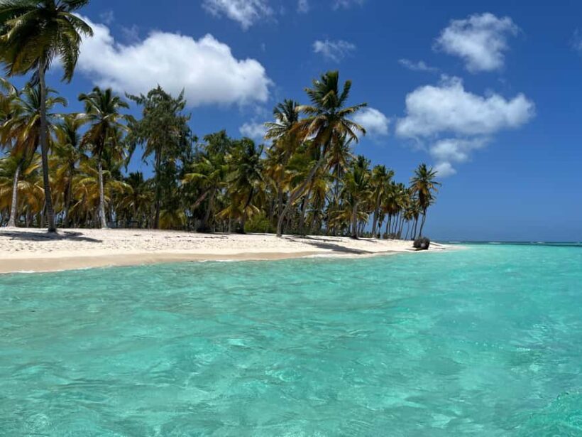 Saona Island Day for Marella Discovery (La Romana Port) - Final Thoughts: Who Is This Tour Best For?