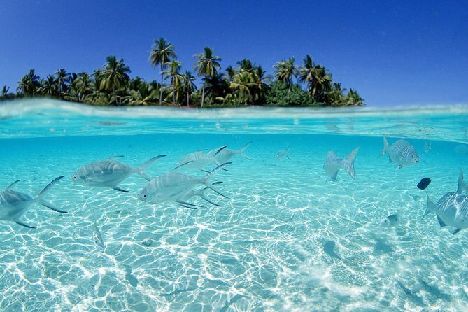 Saona Island Day Tour - Who Should Consider This Tour?