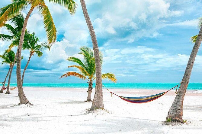 Saona Island Day Tour - Frequently Asked Questions