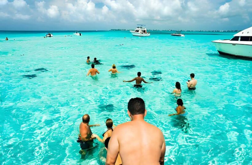Saona Island Day Tour from Punta Cana with Lunch & Open Bar - Key Points