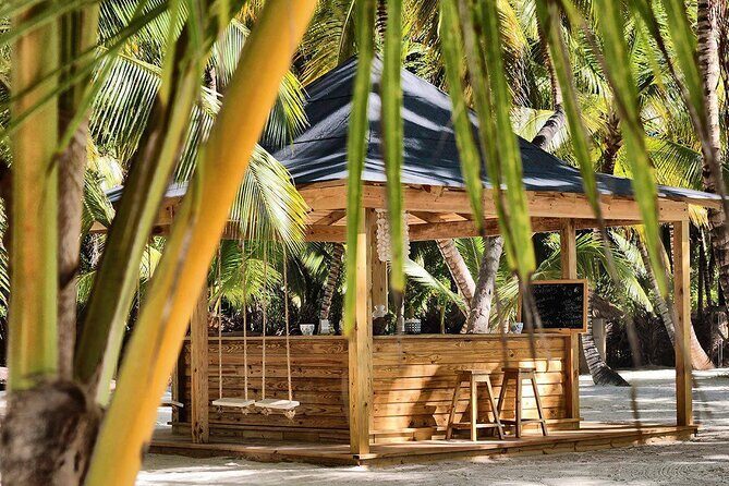 Saona Island Day Trip and Cruise from Punta Cana - Who Should Consider This Tour?