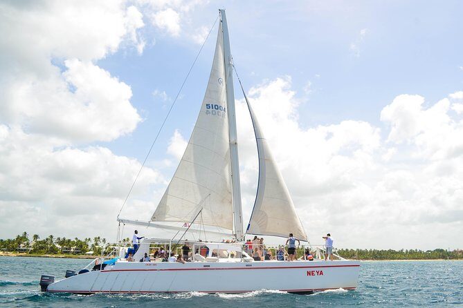 Saona Island Day Trip - Key Points