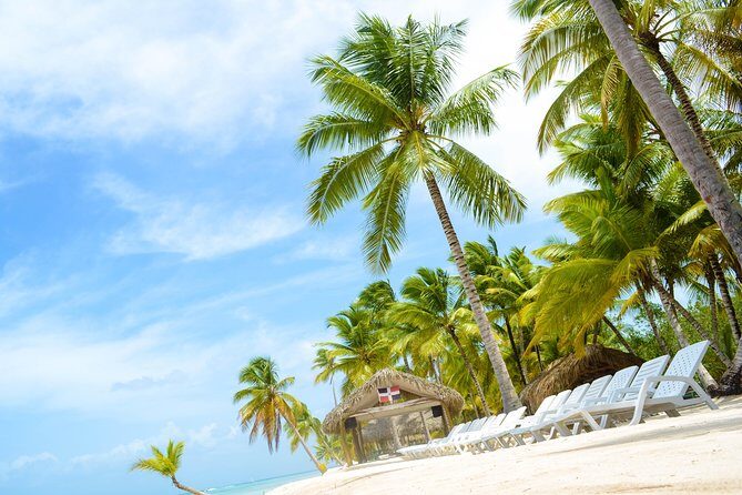 Saona Island Day Trip - Price and Value