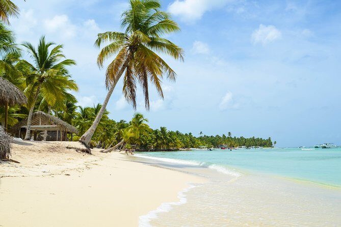 Saona Island Day Trip - Who Will Love This Tour?