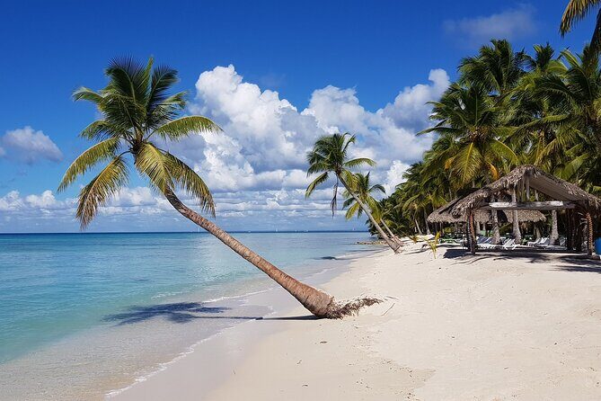 Saona Island Day Trip From Cap Cana with Lunch and Open Bar Included - Key Points