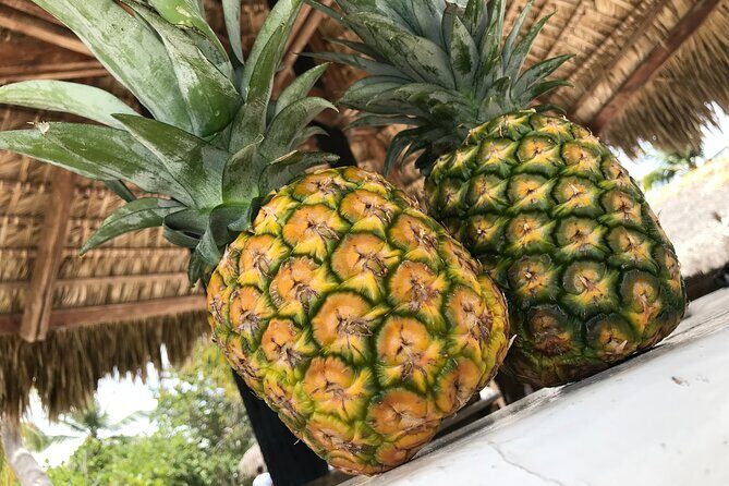 Saona Island Day Trip From Cap Cana with Lunch and Open Bar Included - The Sum Up