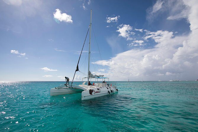 Saona Island Day Trip From Punta Cana with Lunch and Open Bar - The Value for Money
