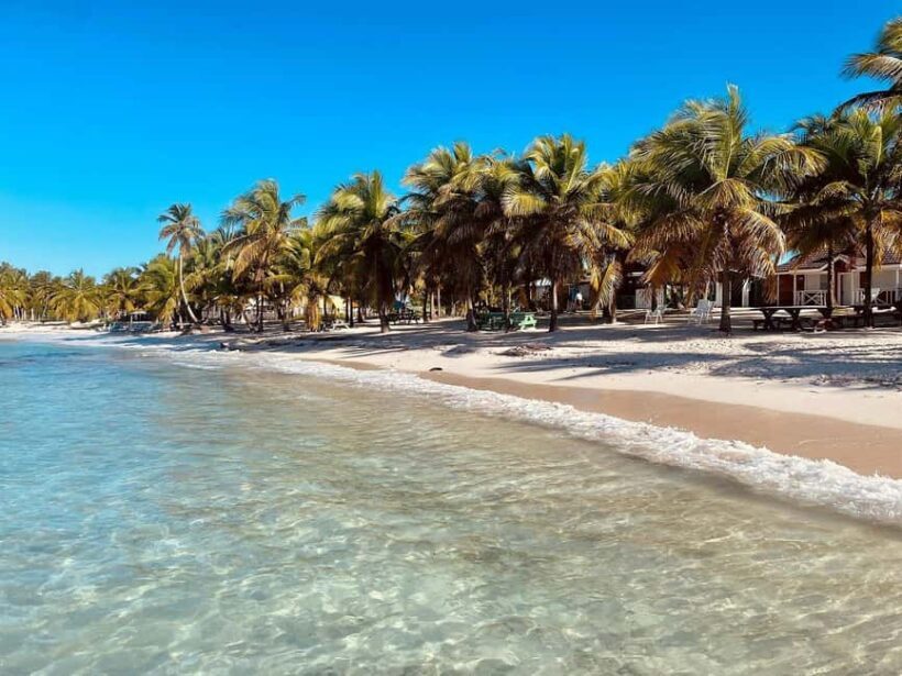 Saona Island Day Trip From Punta Cana with Lunch w/ Open Bar - FAQ