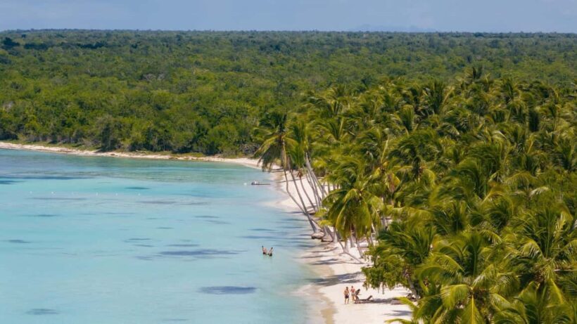 Saona Island Day Trip From Punta Cana with Lunch w/ Open Bar - Closing Thoughts