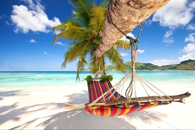 Saona Island Day Trip From Punta Cana with Pick Up and Open Bar - Key Points