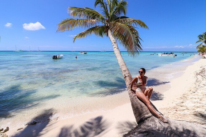 Saona Island Day Trip From Punta Cana with Pick Up and Open Bar - What the Reviews Say