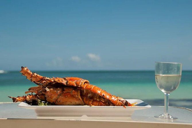 Saona Island Day Trip + Lobsters Included - Introduction