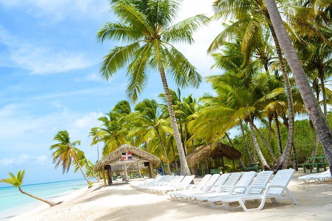 Saona Island Day Trip + Lobsters & Wine Included - Final Thoughts: Is It Worth It?