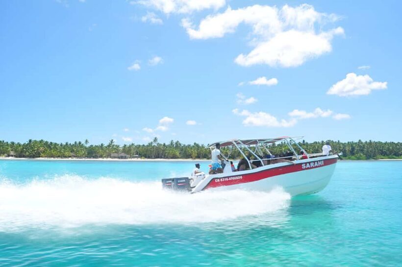 Saona Island Day Trip + Lunch + Open Bar from Punta Cana - The Main Attraction: Saona Island