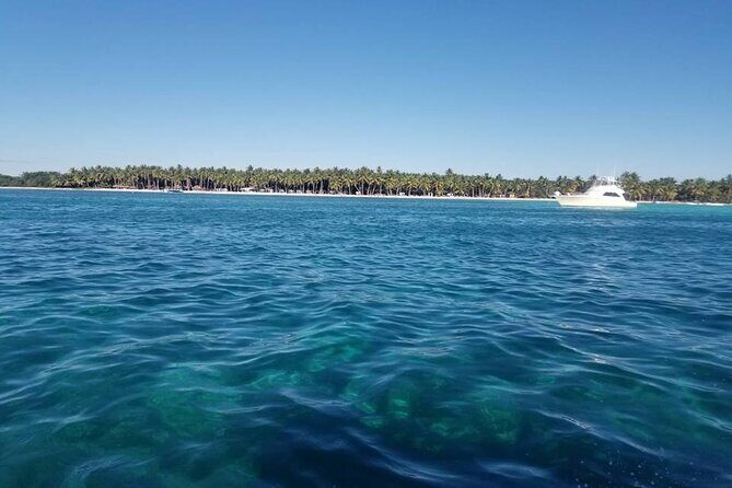 Saona Island Day Trip with Lobsters Included in Bayahibe - Key Points