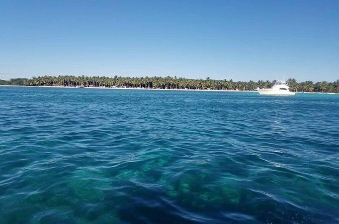 Saona Island Day Trip with Lobsters Included in Bayahibe - The Bottom Line