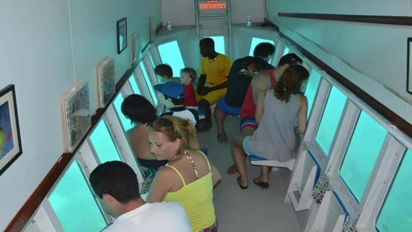 Saona Island Day Trip with Lunch and Open Bar at Punta Cana - What Travelers Say