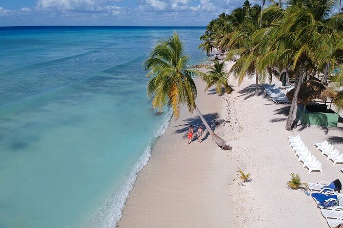 Saona Island Discovery - Key Points