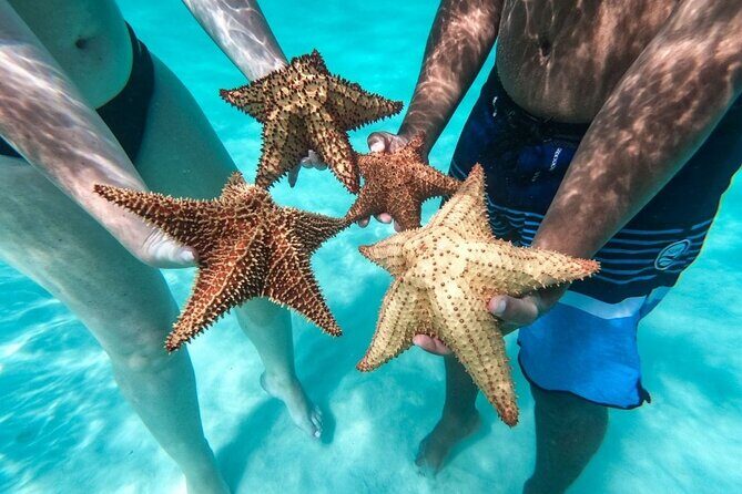 Saona Island Escape Caribbean Paradise Awaits - Additional Activities and Relaxation