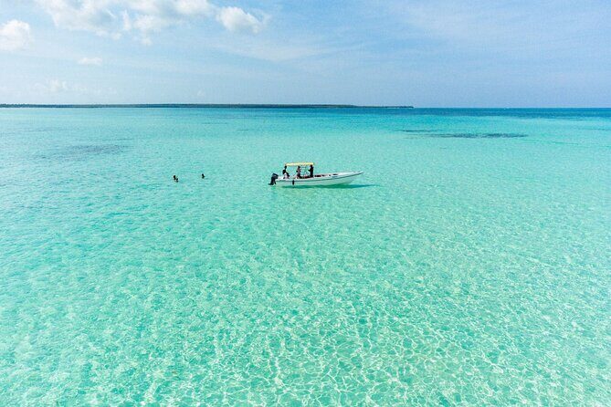 Saona Island Excursion from Bayahibe - Key Points