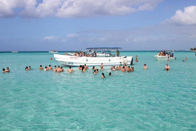 Saona Island Excursion from Bayahibe - Real-Life Perspectives from Travelers