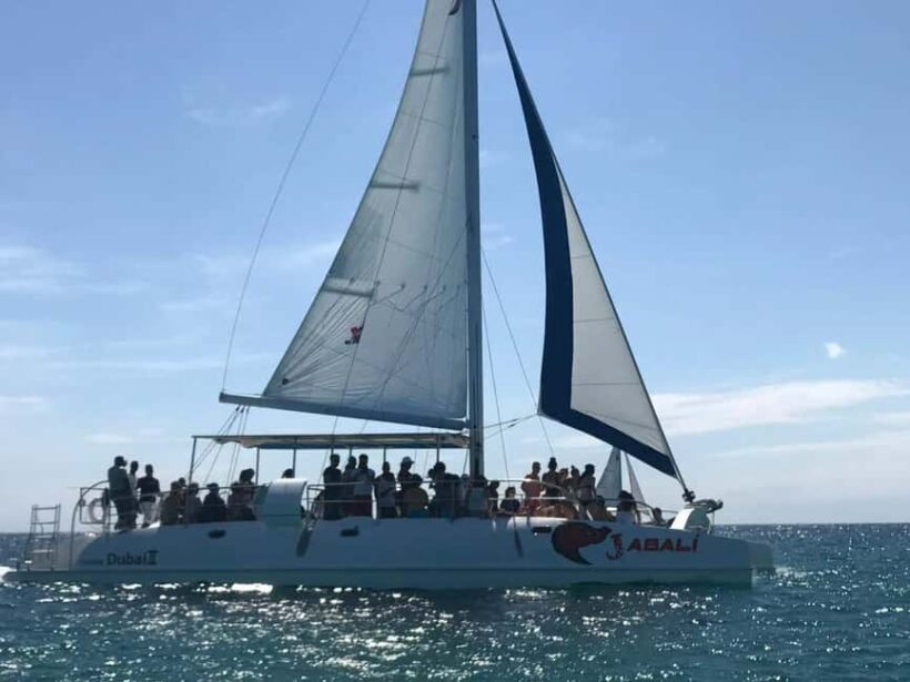 Saona Island Excursion from Punta Cana - An In-Depth Look at the Tour Experience