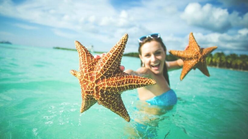 Saona Island Excursion from Punta Cana - In Summary