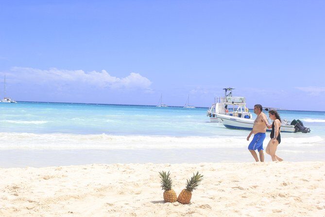 Saona Island Excursion From Punta Cana - Transportation and Group Dynamics