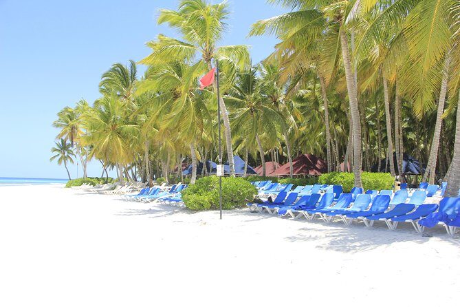 Saona Island Excursion From Punta Cana - The Watersports and Activities