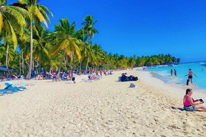 Saona Island from Punta Cana - Key Points