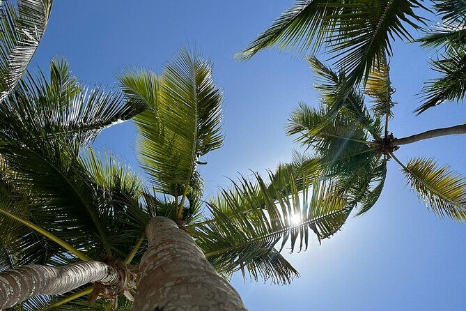 Saona Island from Punta Cana - Who Will Love This Tour?