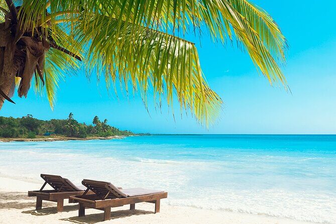 Saona Island From Punta Cana - Key Points