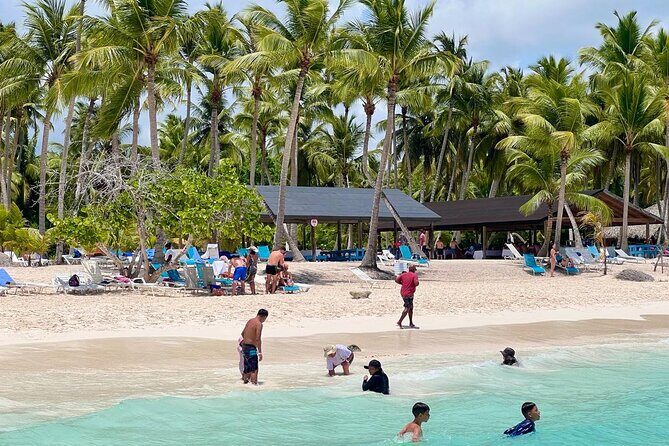 Saona Island from Santo Domingo - Arriving at Saona Island: Relaxation and Exploration