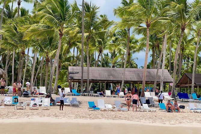 Saona Island from Santo Domingo - Return Trip: Music, Dancing, and Sunset Views