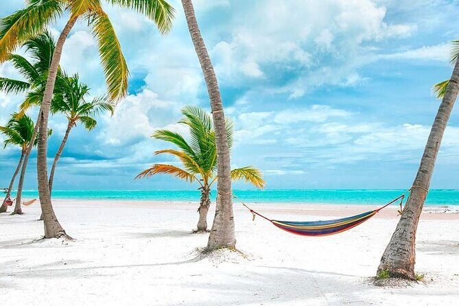 Saona Island Full Day Adventure From Punta Cana & Bavaro - Who Should Consider This Tour?