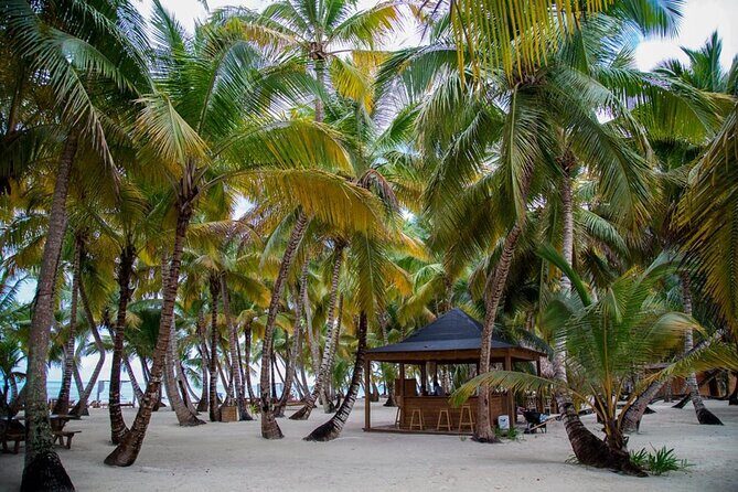 Saona Island Full Day Adventure From Punta Cana & Bavaro - The Sum Up