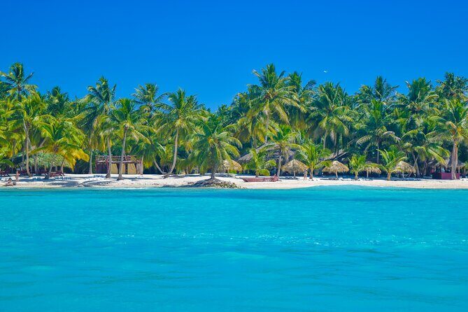 Saona Island Full-Day All-Inclusive Tour from Santo Domingo - Authentic Traveler Insights and Tips