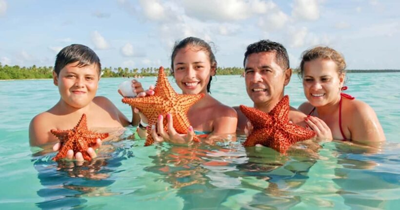 Saona Island: Full-Day Boat Tour All Inclusive - The Itinerary and What You’ll Experience