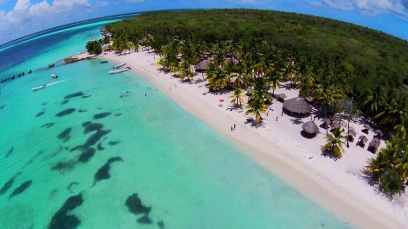 Saona Island: Full-Day Boat Tour All Inclusive - The Sum Up